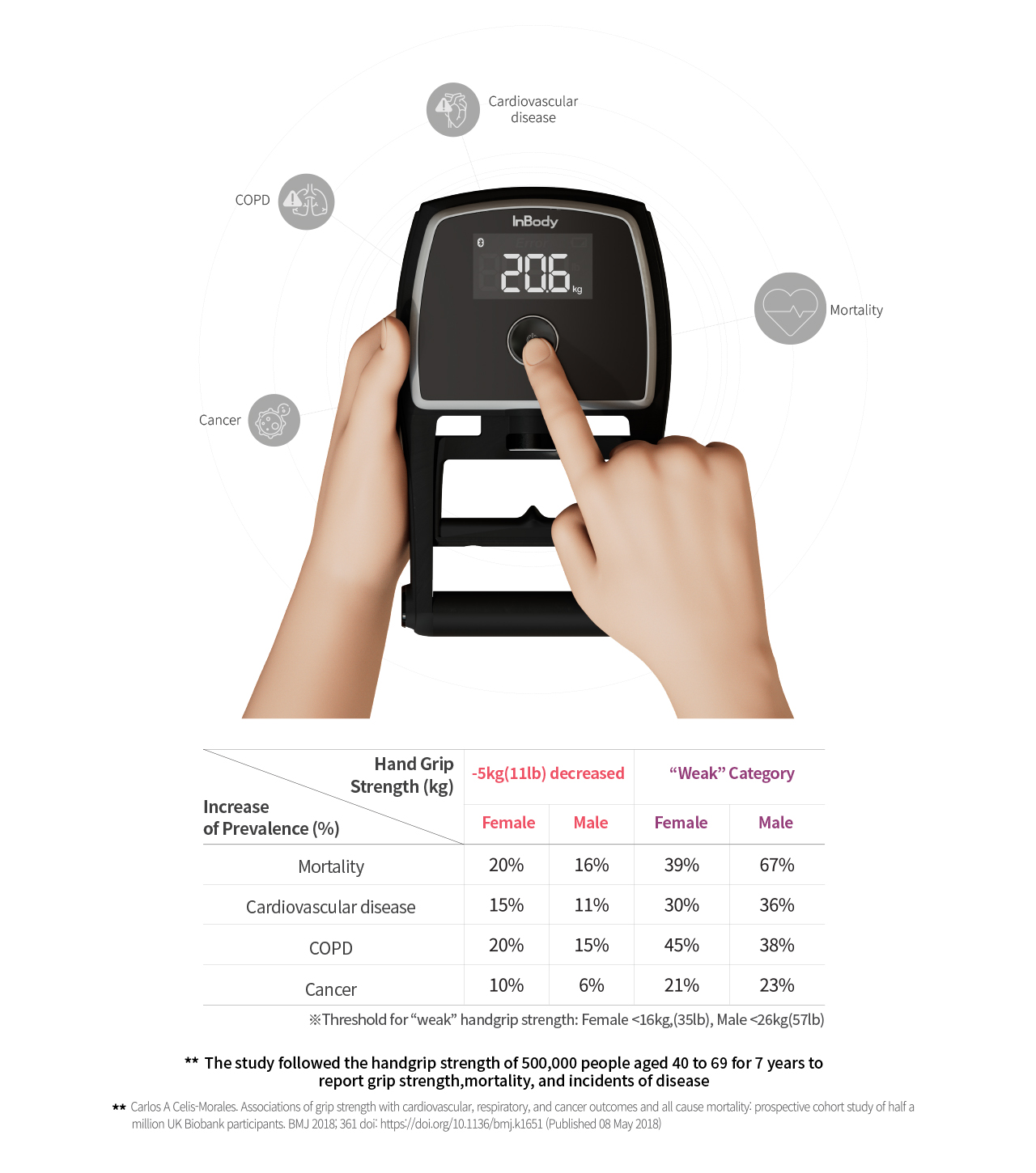InBody InGrip: Hand Grip Strength Dynamometer – Spec Brite Group